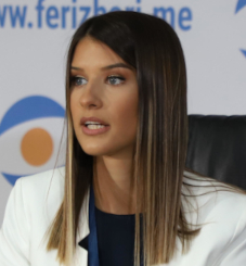 CEMI - Centar za monitoring i istraživanje